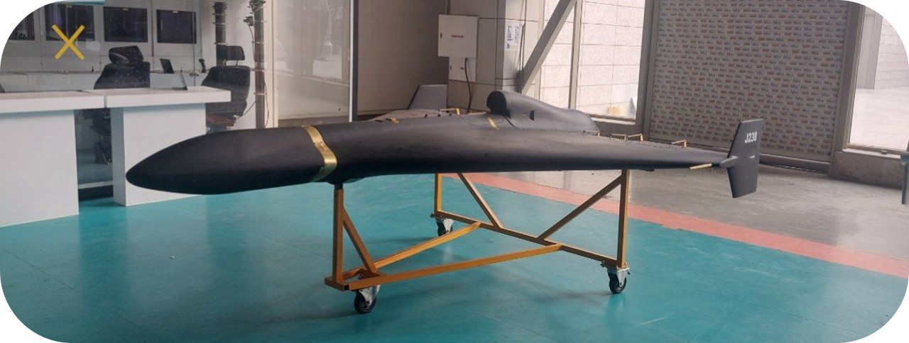 The Convergence and Evolution of Two Networks Supplying Iran’s UAV ...